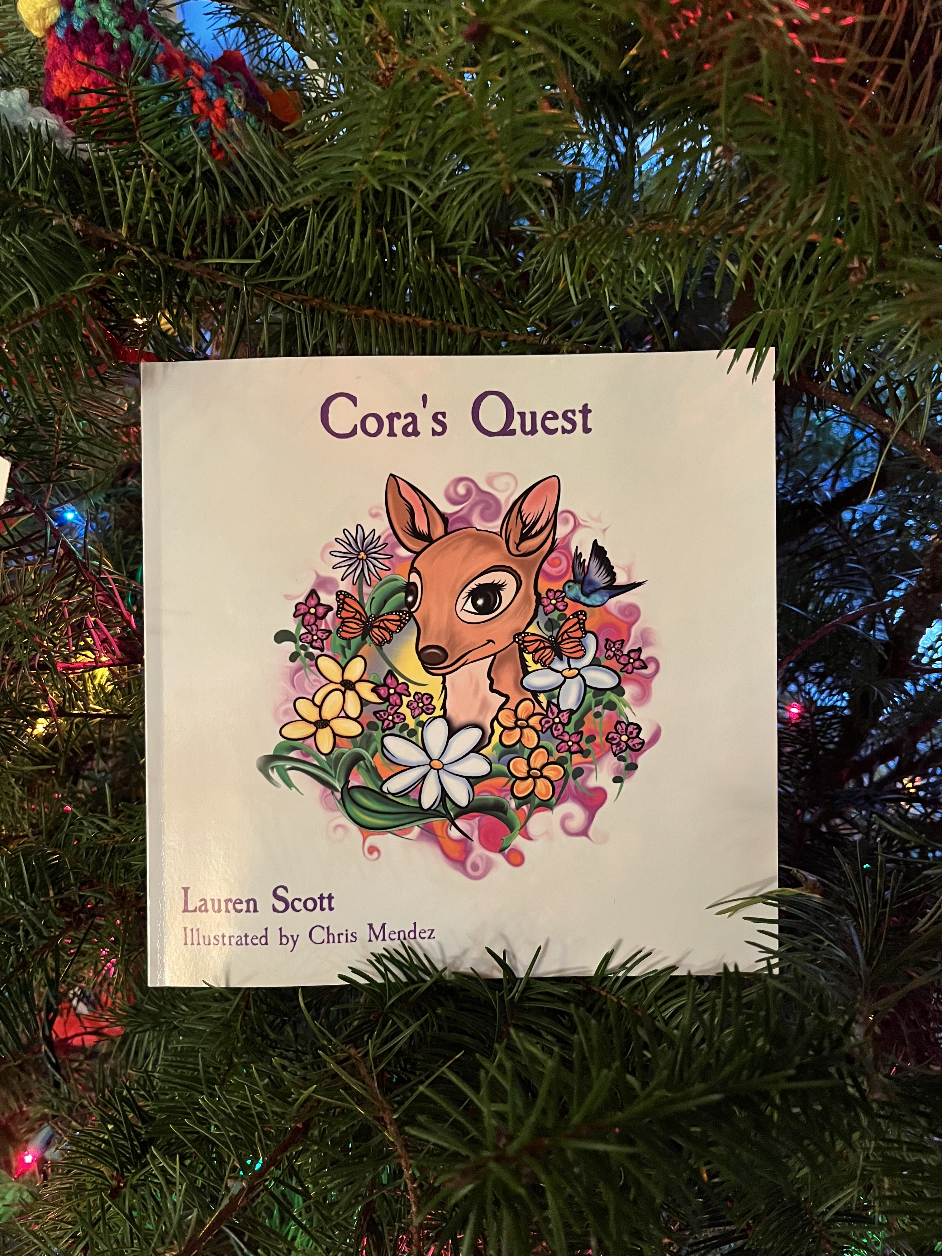 Resa kicks off the book launch for Cora’s Quest with an array of colors ...
