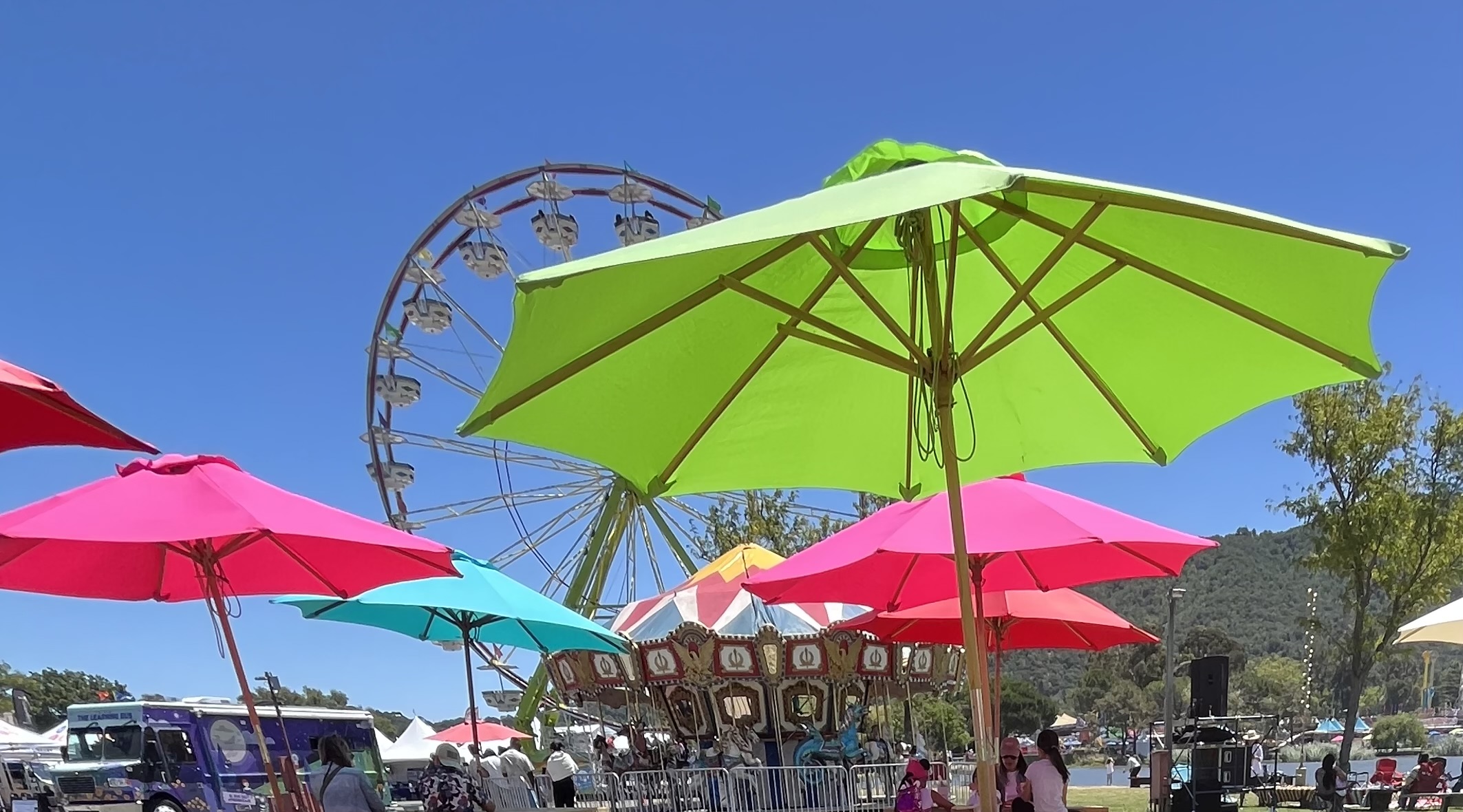 A “Bug-tastic” 4th! – Baydreamer Writes ~ Lauren Scott, Author