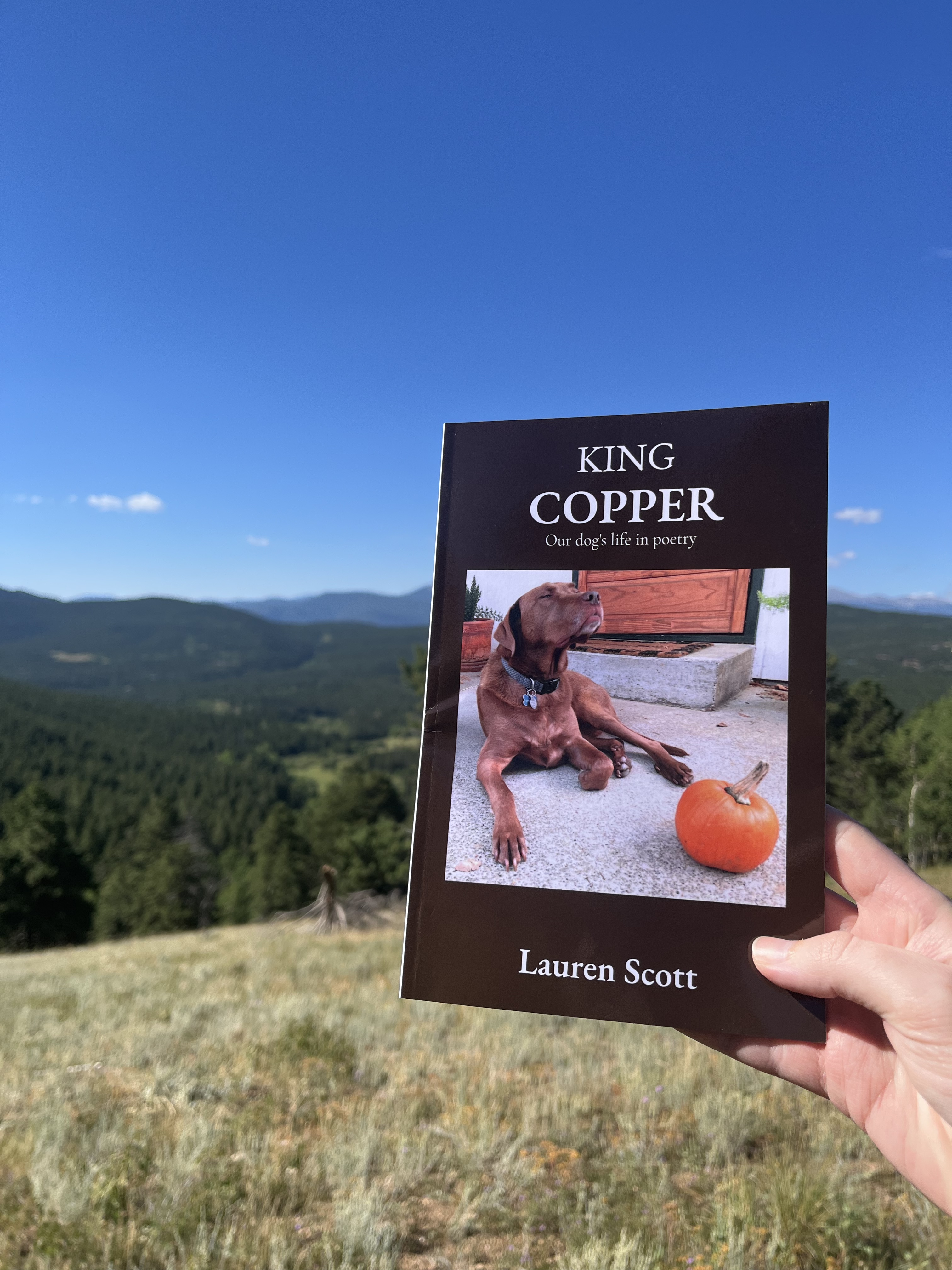 King Copper brings more 5-star reviews from Sally and Ernie! 🤎🧡 ...