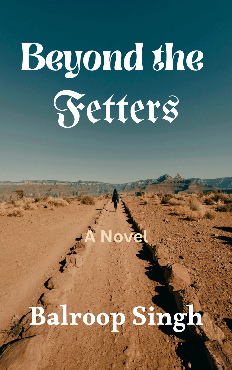 #BlogTour: Beyond the Fetters by Balroop Singh – Baydreamer Writes ...